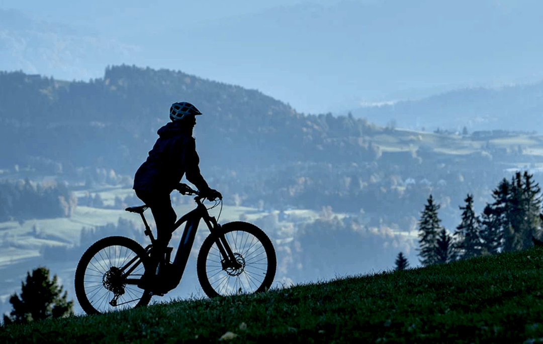 Taubik E-Bikes Now in Canada Feature Urban, Fat Bike and eMTB Models at ...