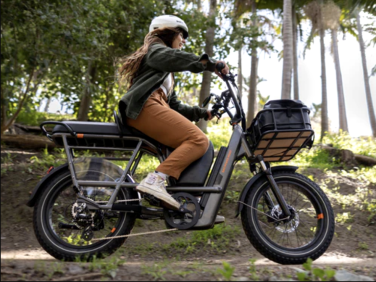 eNews – Rad Power Bikes Acquired by Life Electric Vehicles Holdings Inc ...